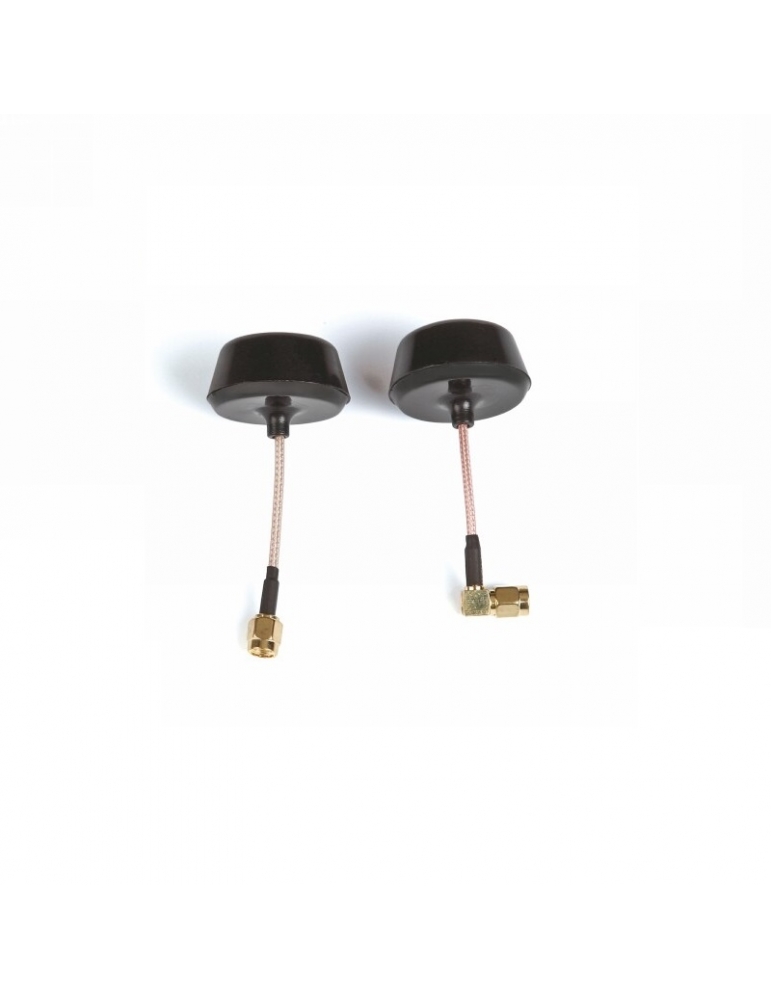 5.8G Clover leaf antenna with case | cyborgshop.lt