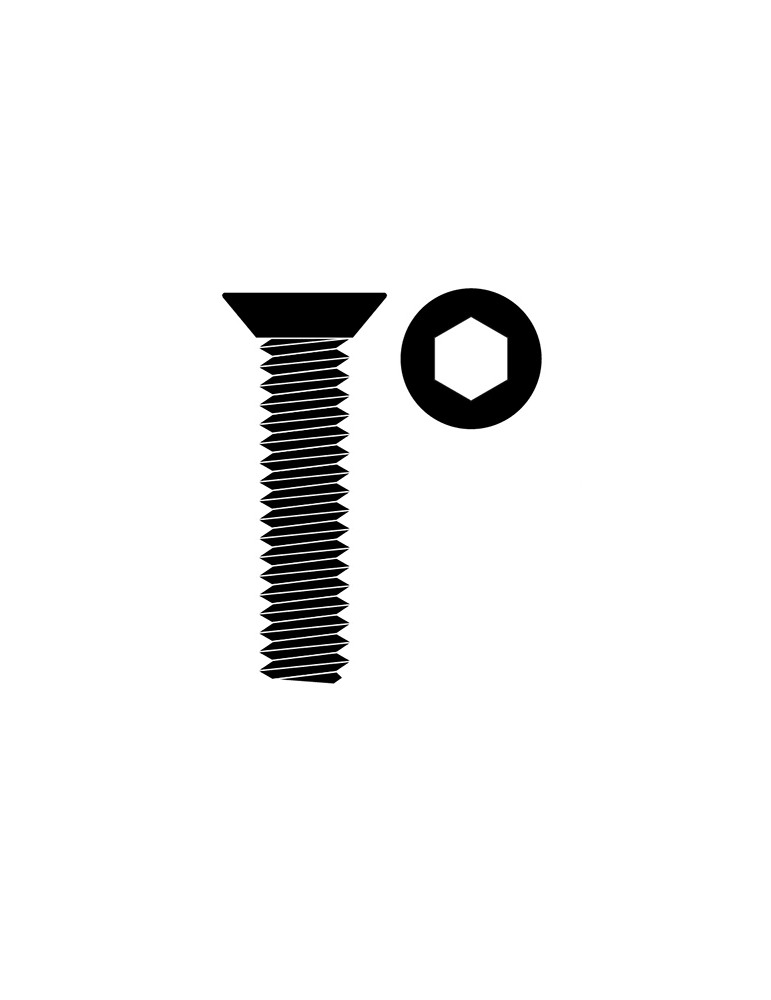 Steel Screws M4 x 12mm - Hex Flat Head - 10 pcs